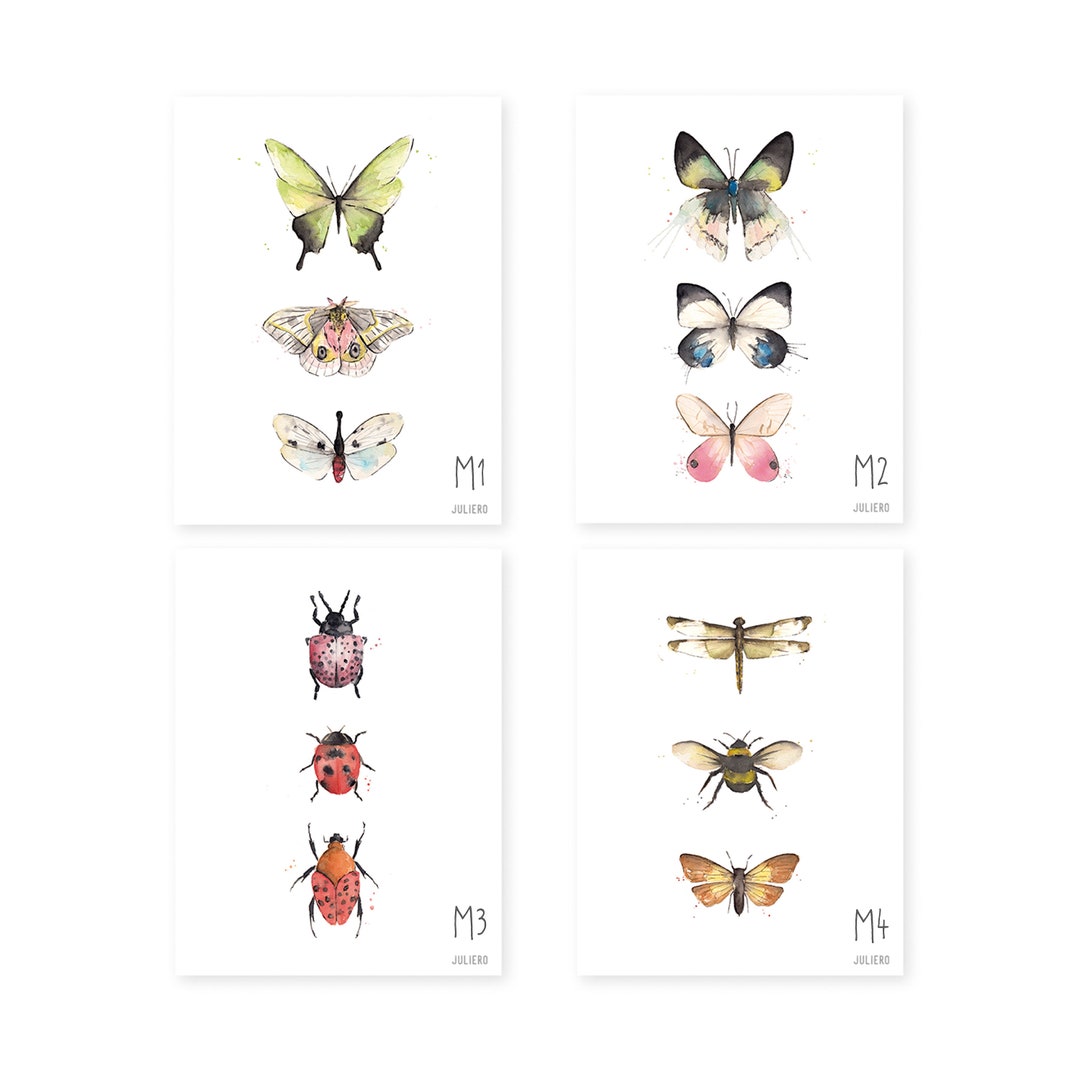 Decorative Sheets Butterfly Garden, Home Decoration, Watercolor ...