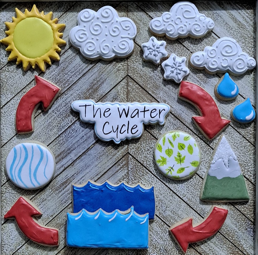 Water Cycle Cookie Cutter Set - Etsy