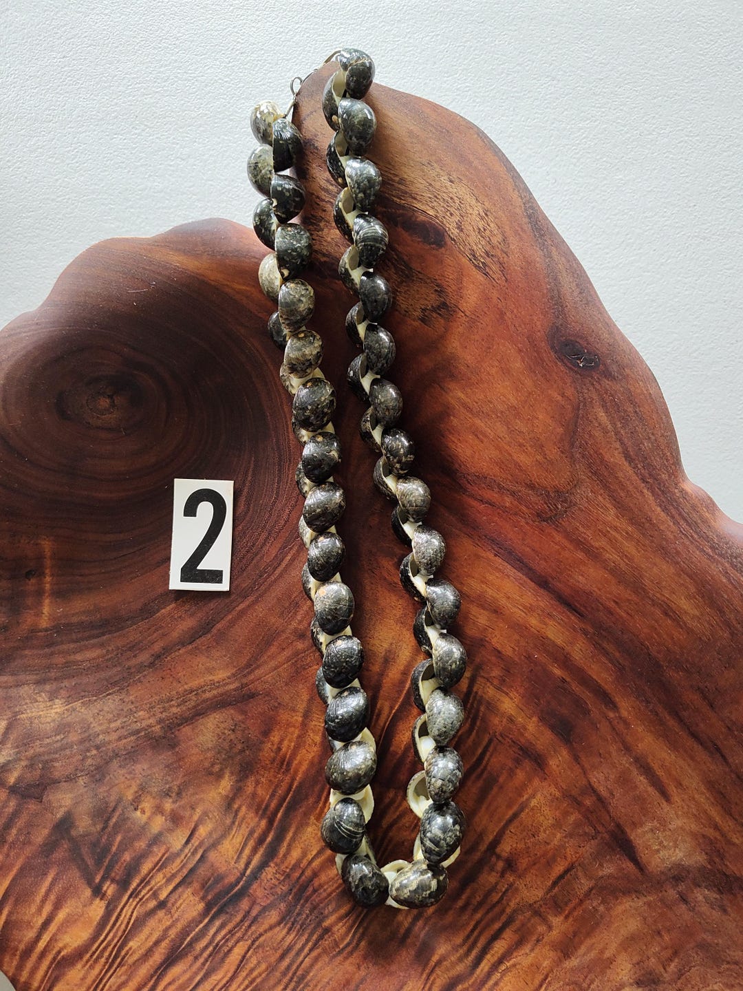 Kupe'e Shell Lei #2 - Etsy