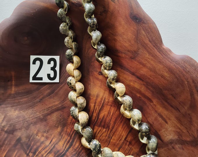 Kupe'e Shell Lei #23 - Etsy