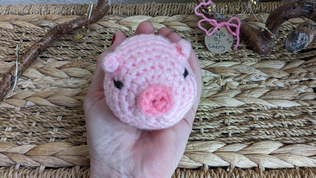 Pig Stress Relief Ball, Funny Desk Fidget Toy, Pig Lover Gift Teacher ...