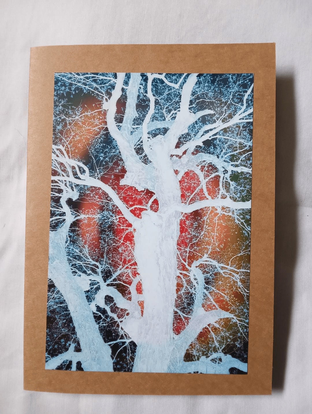 The Healing Tree - Blank Blessing Pic Card* - Etsy