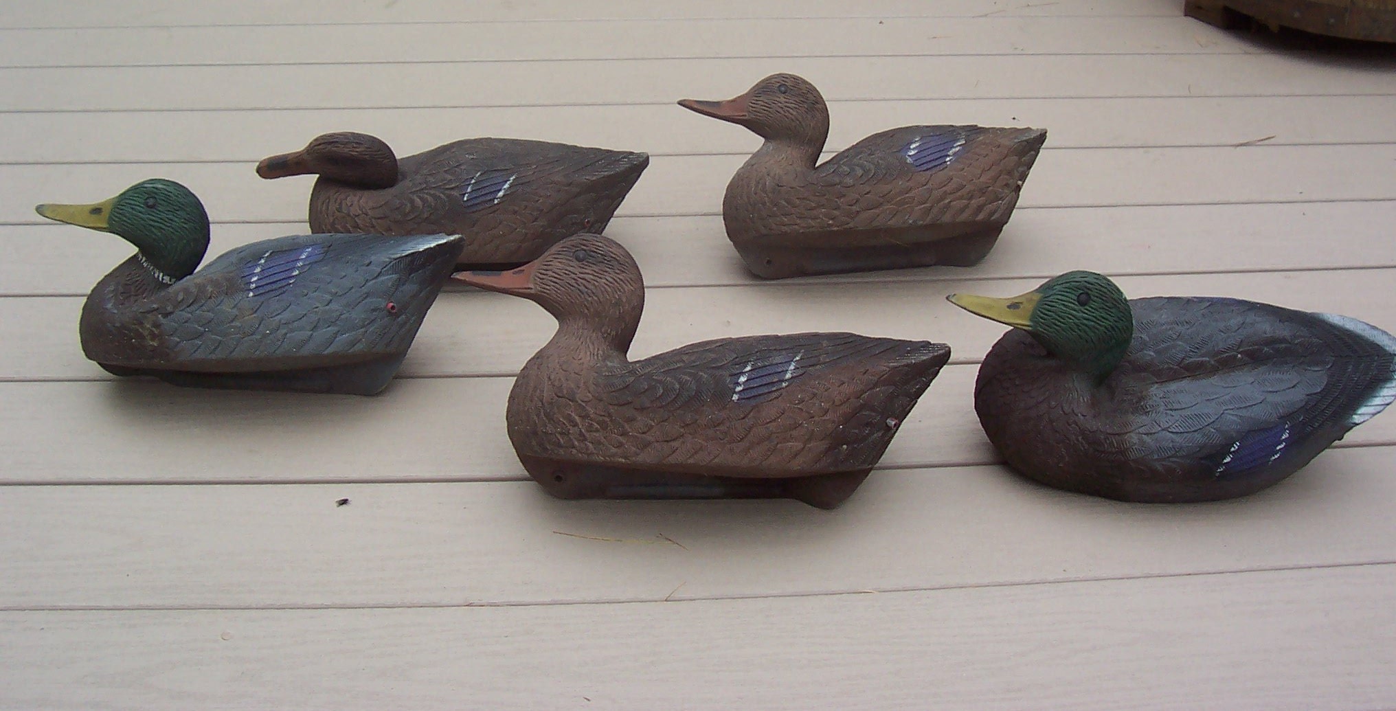 Flambeau Goose Decoys for sale| 119 ads for used Flambeau Goose Decoys