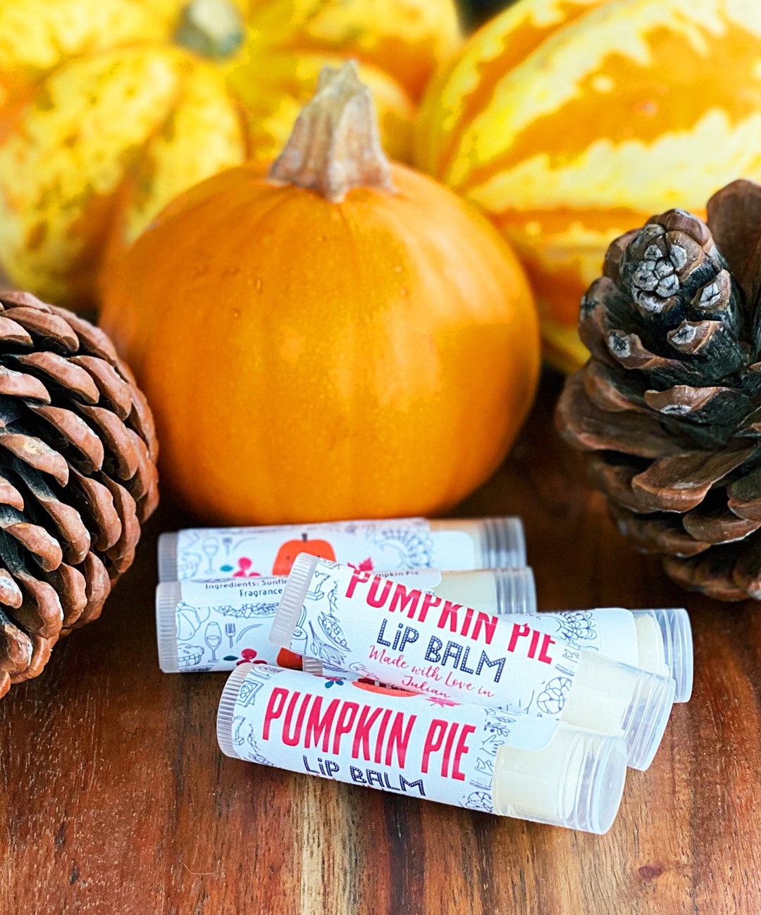 Holiday Favorites Lip Balm Pack 12 Pack of Fall and Winter Lip Balm ...