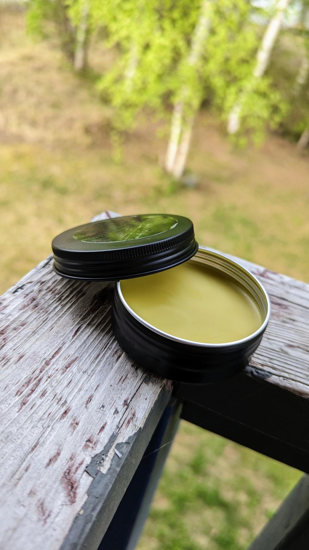 Alaskan Wild Sage Balm - Etsy