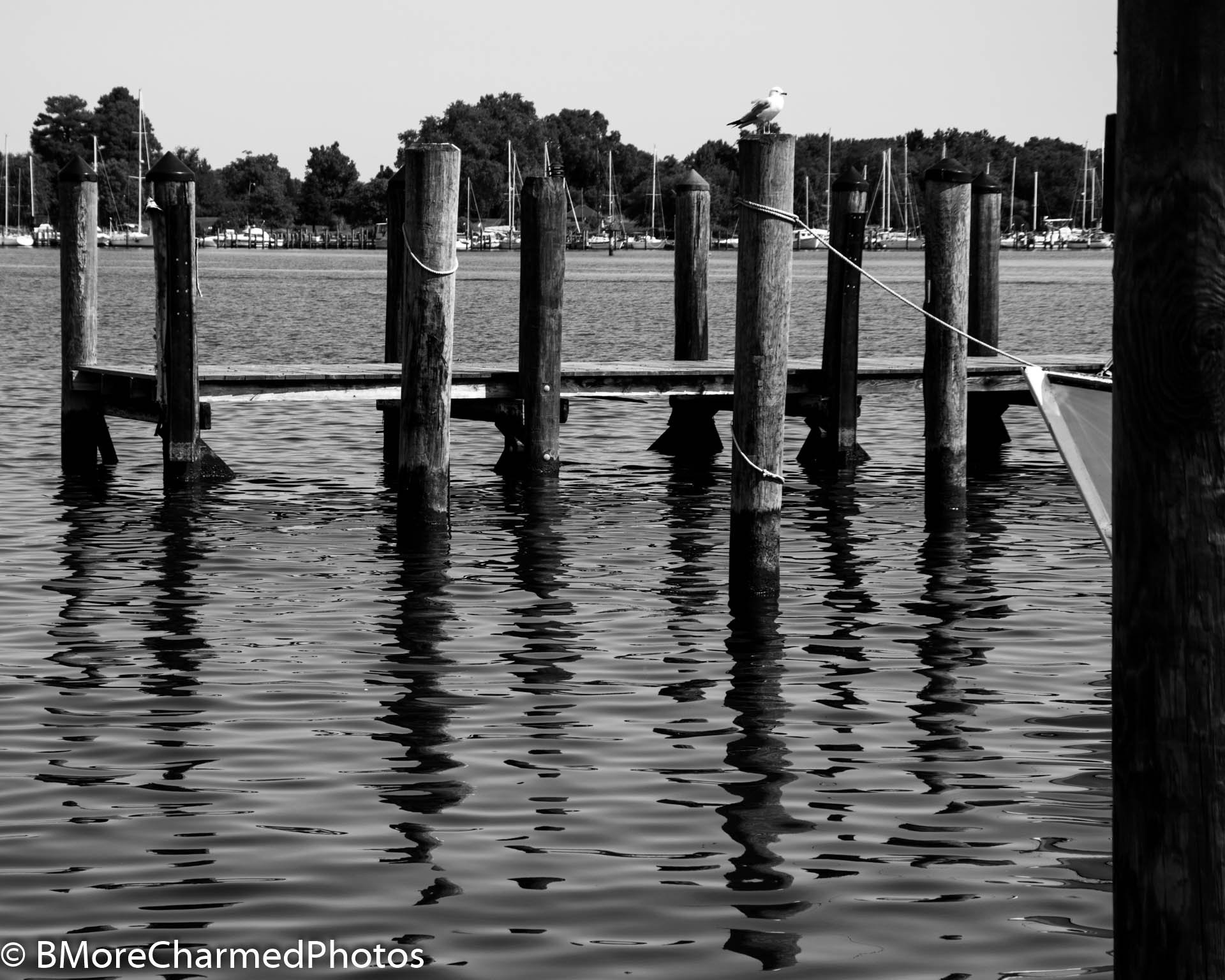 Marina Solomon's Island MD | Etsy