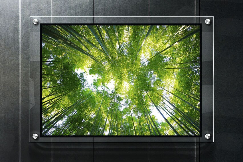 Forest Trees Poster Forest Art Print Beautiful Forest Tree Art - Etsy