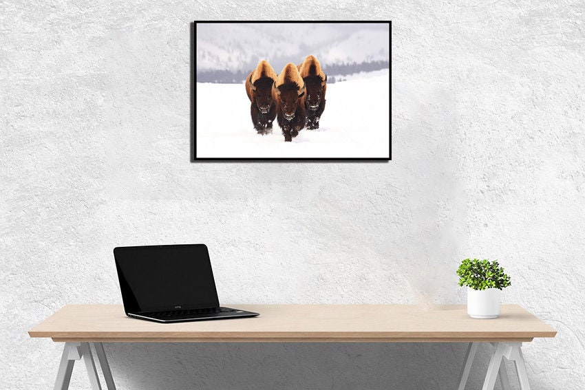 Bison Poster Buffalo Print American Bison Print Buffalo Poster Nursery ...