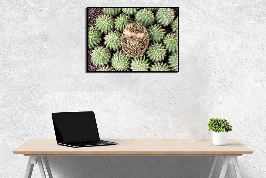 Hedgehog Poster Cactus Hedgehog Print Animal Poster Cute Hedgehog ...