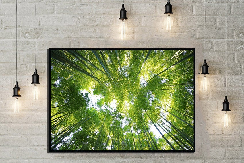 Forest Trees Poster Forest Art Print Beautiful Forest Tree Art - Etsy