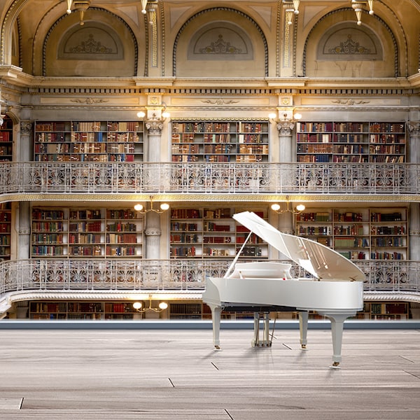 Library Wallpaper - Etsy