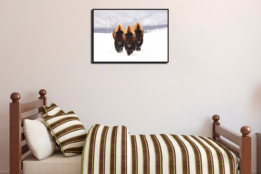 Bison Poster Buffalo Print American Bison Print Buffalo Poster | Etsy