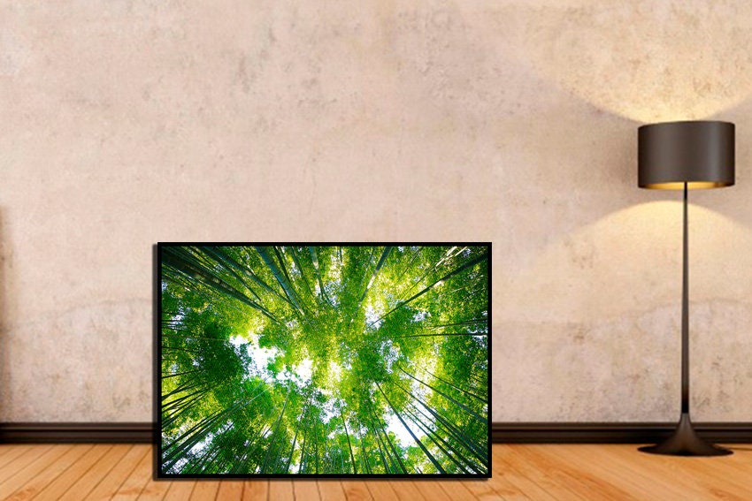 Forest Trees Poster Forest Art Print Beautiful Forest Tree Art - Etsy