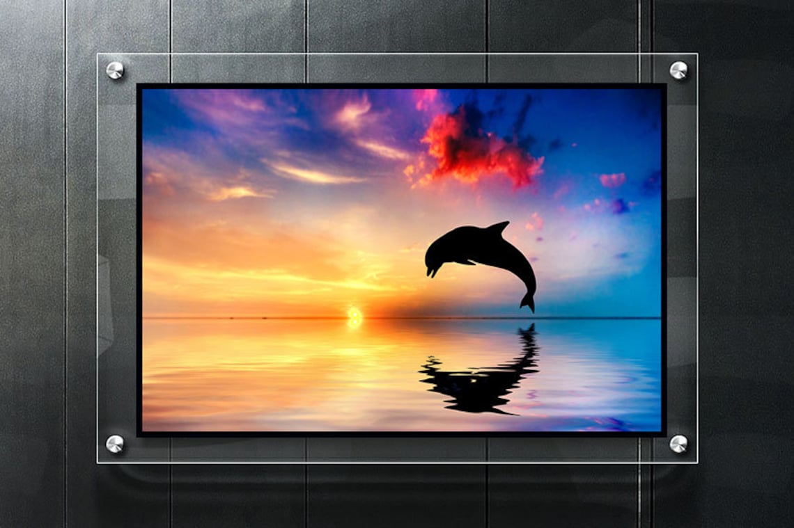 Dolphin Animal Dolphin Poster Dolphin Print Poster Dolphin Art Nature ...