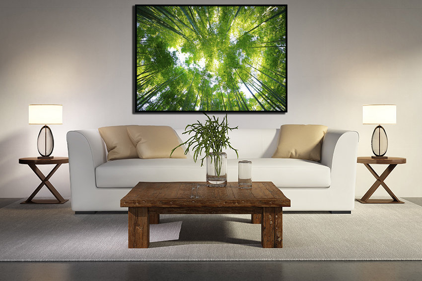 Forest Trees Poster Forest Art Print Beautiful Forest Tree Art - Etsy