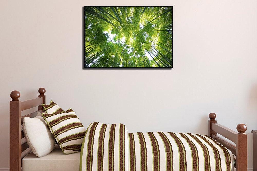 Forest Trees Poster Forest Art Print Beautiful Forest Tree Art - Etsy