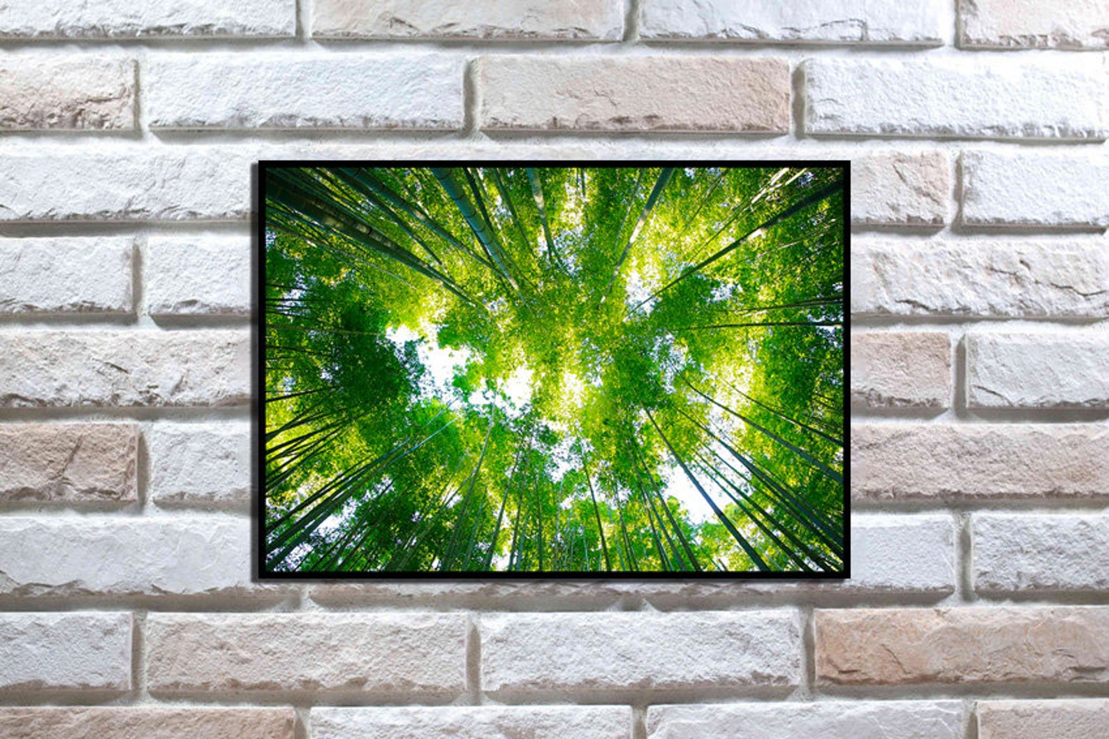 Forest Trees Poster Forest Art Print Beautiful Forest Tree Art - Etsy
