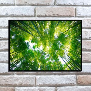 Forest Trees Poster Forest Art Print Beautiful Forest Tree Art Print ...