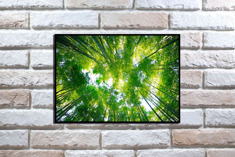 Forest Trees Poster Forest Art Print Beautiful Forest Tree Art - Etsy