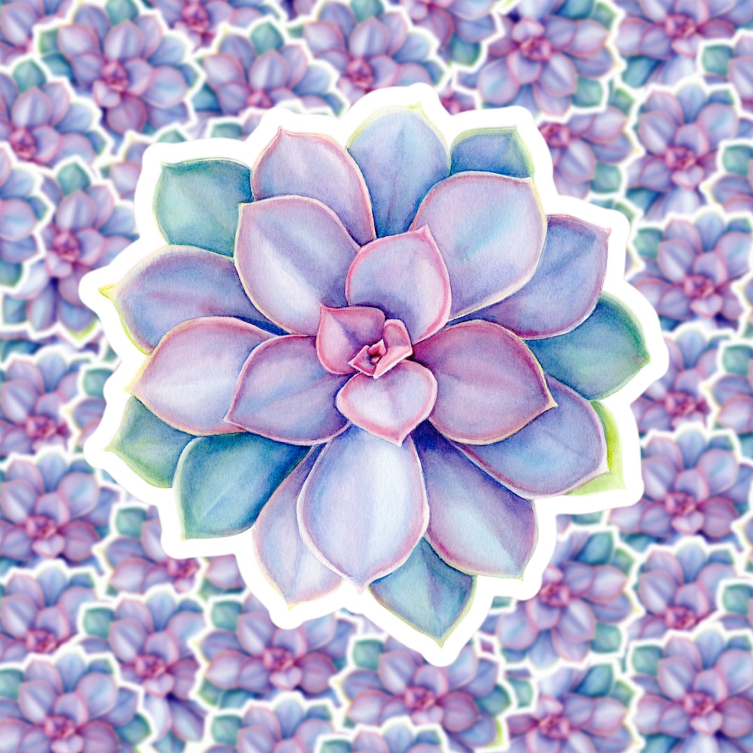 Watercolor Succulent Sticker | Water Bottle Sticker | Laptop Sticker - Etsy