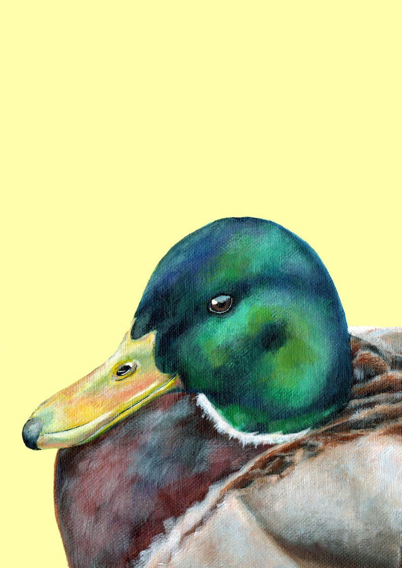 A4 Mallard Duck' Print - Duck Painting, Mallards, Duck Art, Mallard ...