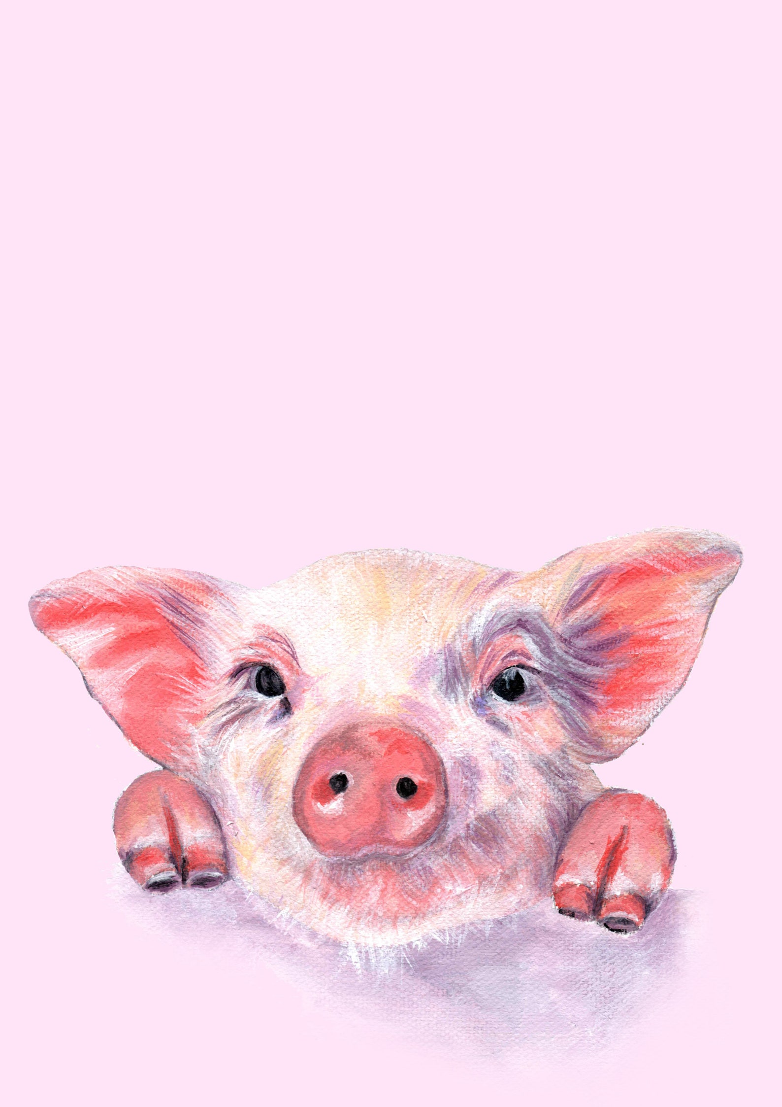 Peek A Boo Piggy Print Pig Print Pig Painting Pig Wall - Etsy