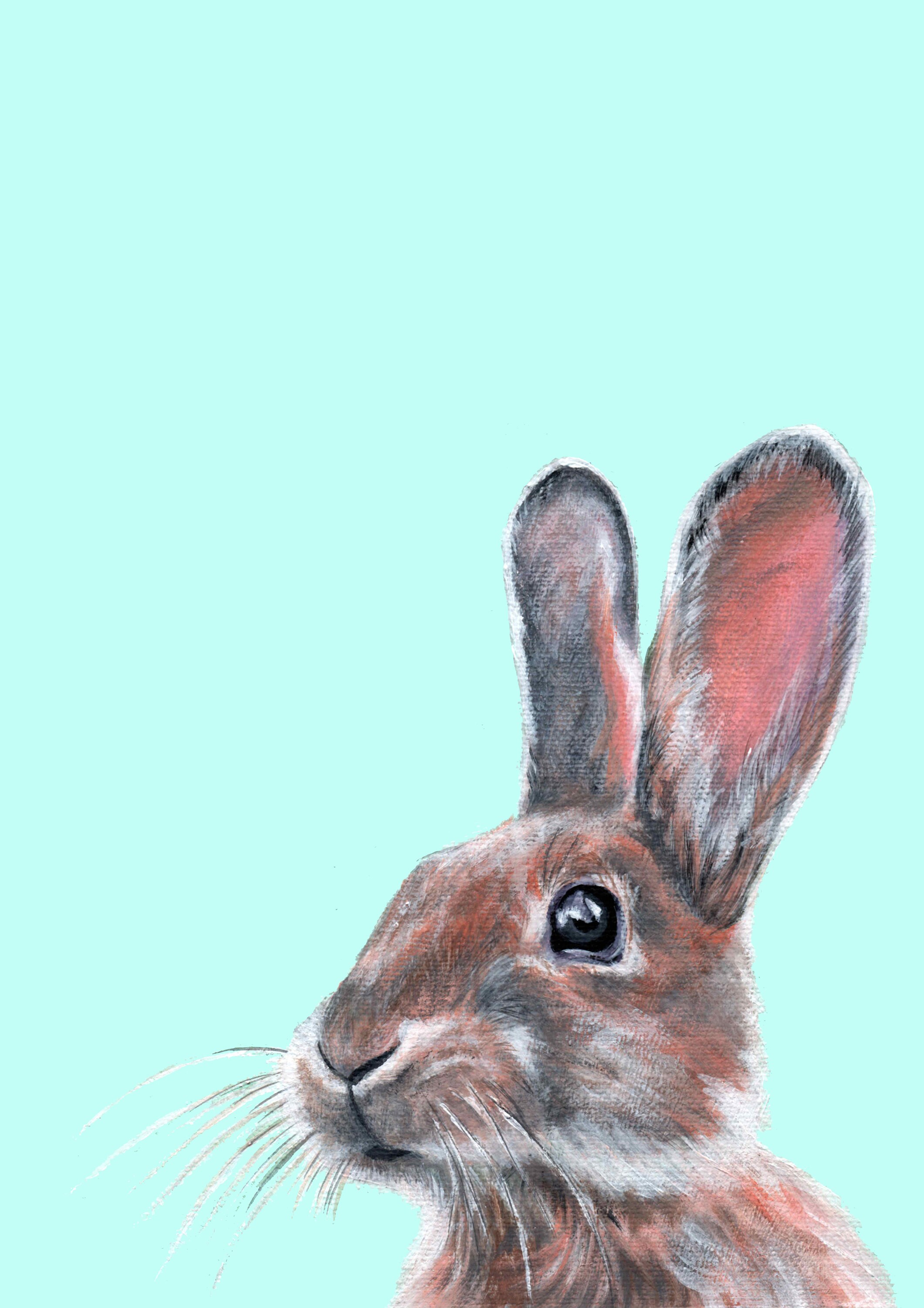 A4 Bunny Rabbit Print - Rabbit Print, Bunny Print, Brown Rabbit, Hare ...