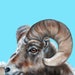 A4 Big Horn Sheep Print Sheep Sheep Art Sheep Painting - Etsy