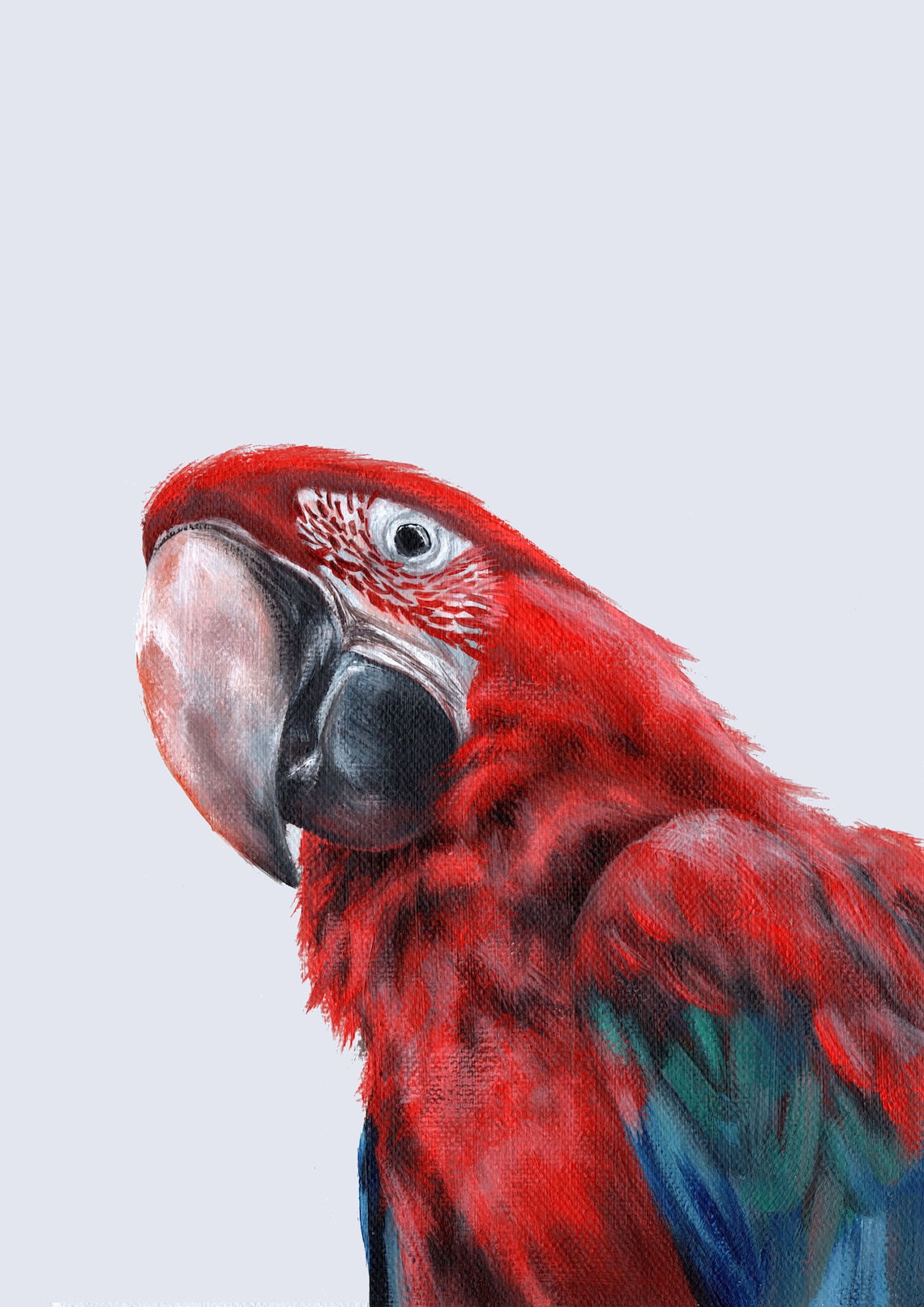 Scarlet Macaw A4 Print Painting, Macaw, Parrot, Red Macaw, Acrylic ...