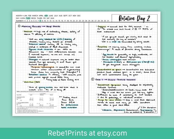 Paper & Party Supplies Journal Entry Spread Student Journaling ...