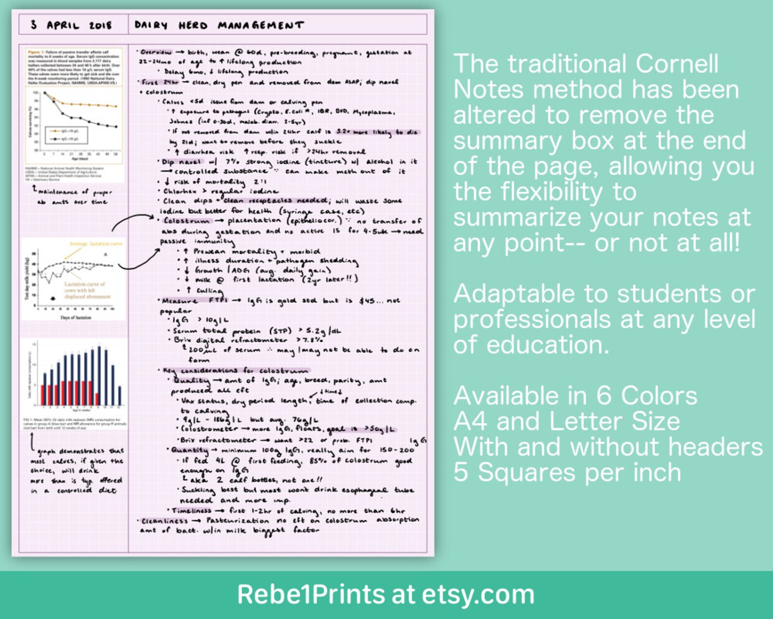 Modified Cornell Notes / V.2 Colorful Edition / Student Note - Etsy