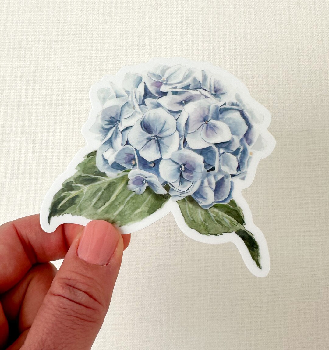 Blue Hydrangea Sticker | Hydrangea Blooms Waterproof Sticker | Perfect ...