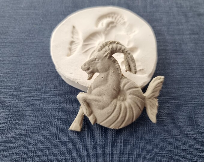 Sprig Molds for Pottery / Bisque Fired Mold - Capricorn - Etsy