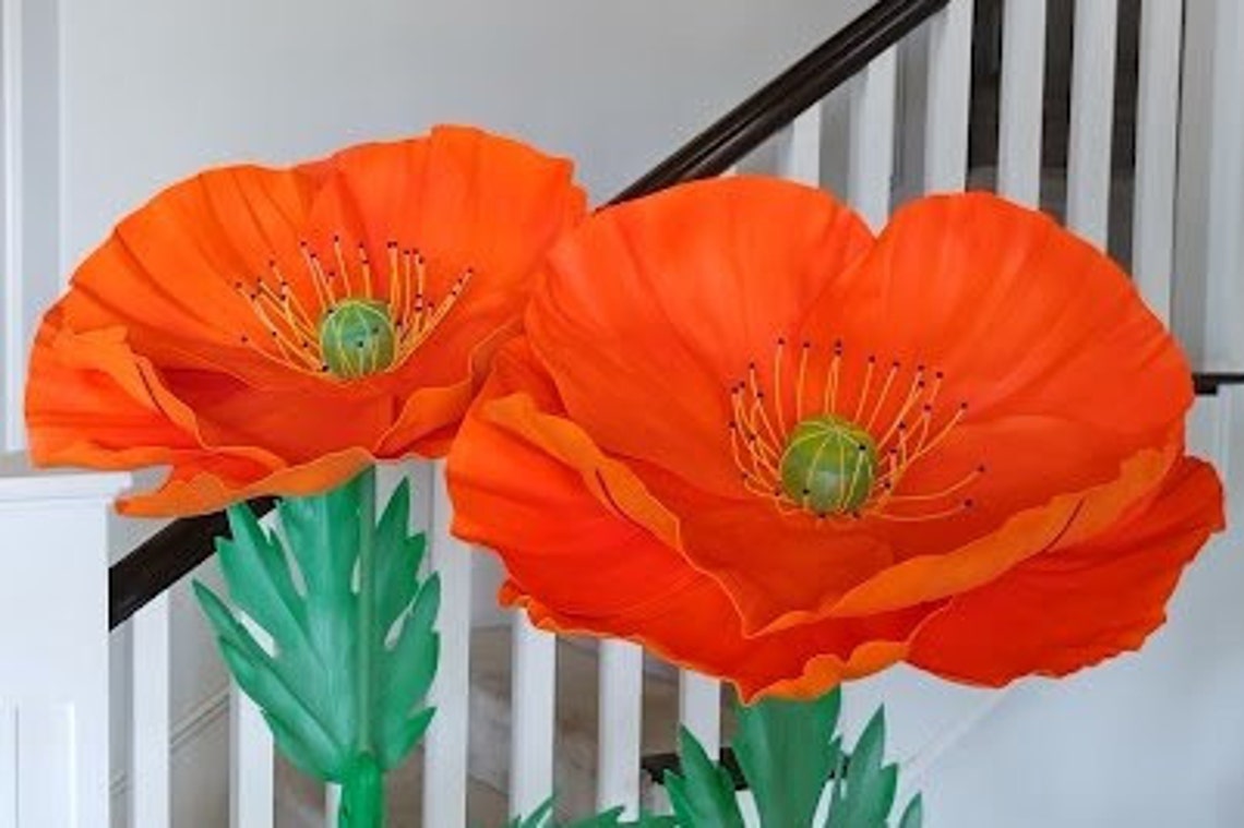Red or Yellow Giant Poppies / Poppy / Wizard of Oz / Larger Flower ...