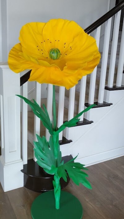 Red or Yellow Giant Poppies / Poppy / Wizard of Oz / Larger Flower ...