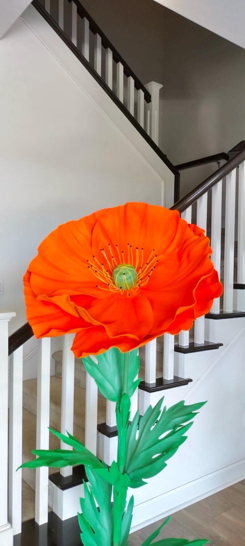 Red or Yellow Giant Poppies / Poppy / Wizard of Oz / Larger Flower ...