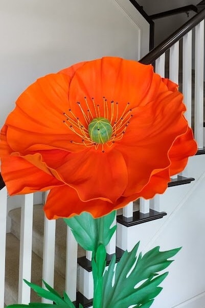 Red or Yellow Giant Poppies / Poppy / Wizard of Oz / Larger Flower ...