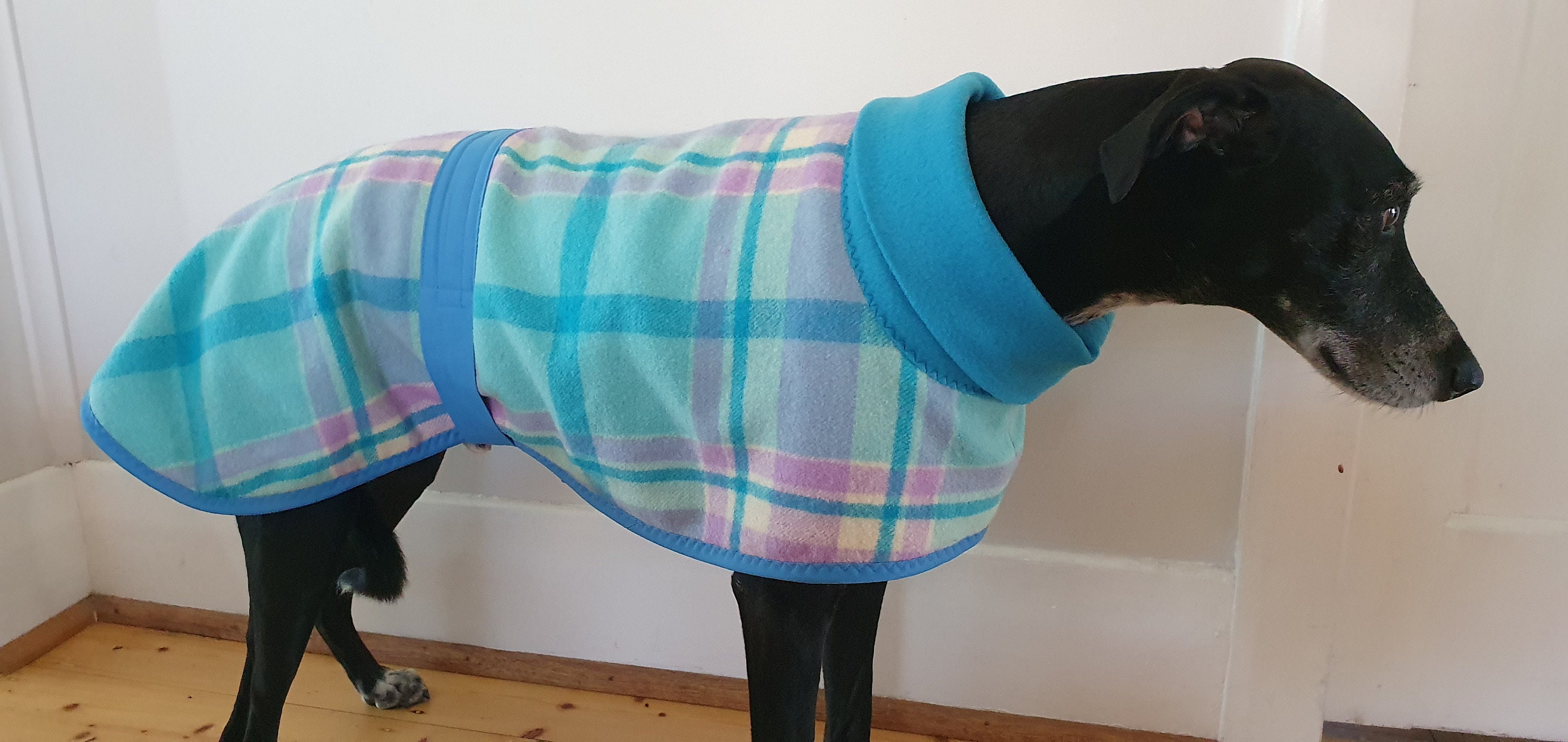 Do Lurchers Need Coats In Winter