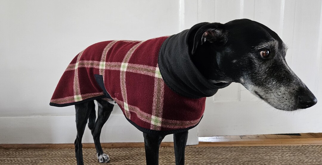 Checks in Burgundy and Green...winter Coat for a Pointer or Lurcher in ...