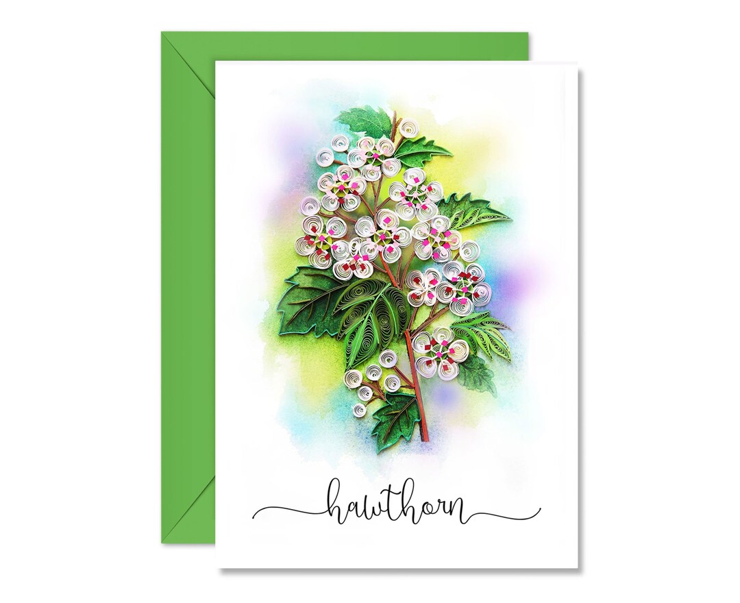 Happy Birthday Quilling Card, Hawthorn Flower Card, Birthday Gifts ...