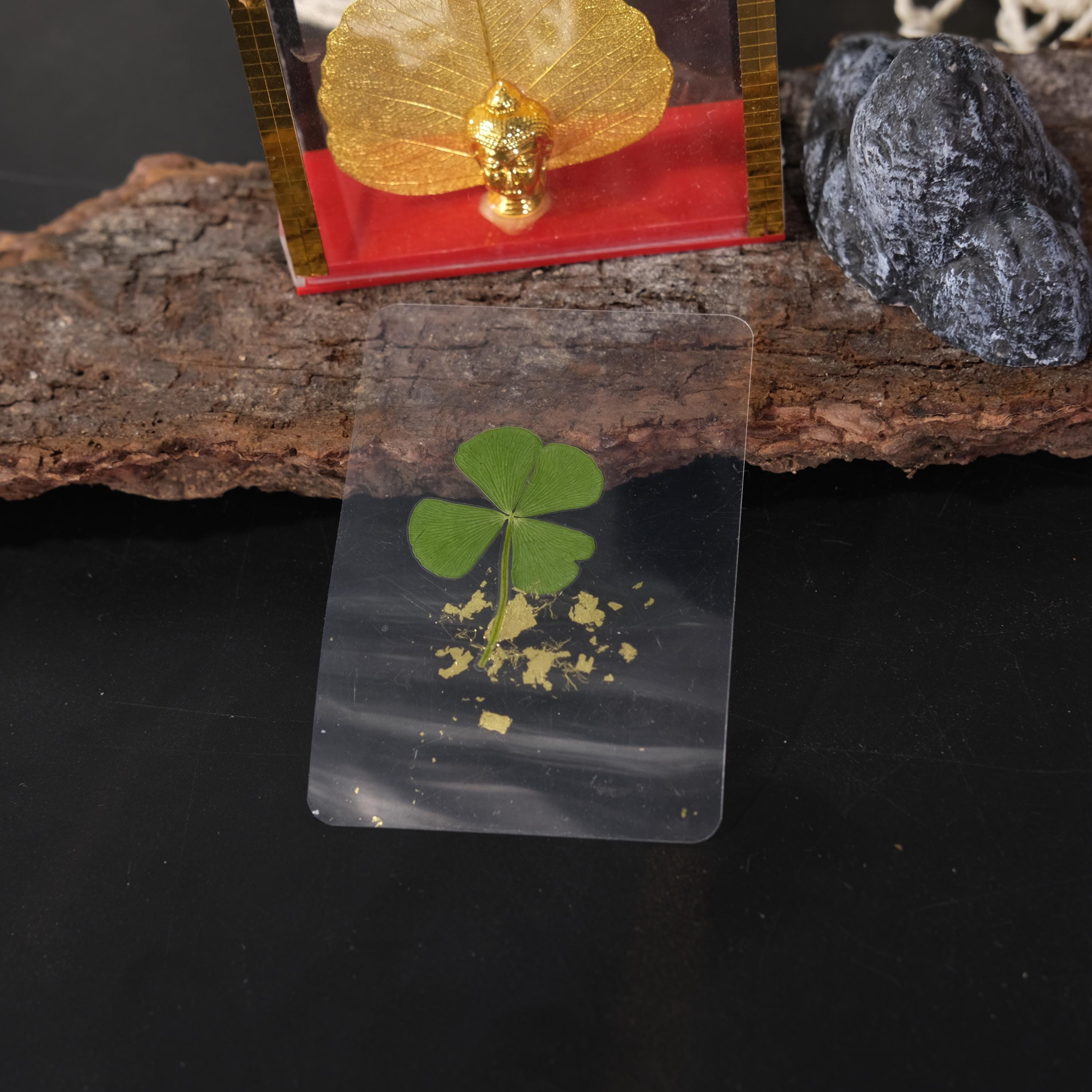 Real Four Leaf Clover Card, Dried Clover Laminated Good Luck Charm ...