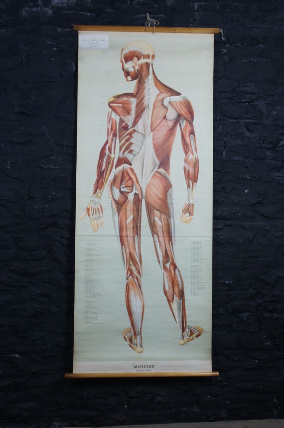 Architectural Drawings Art & Collectibles Vintage Adam Rouilly & Co ...