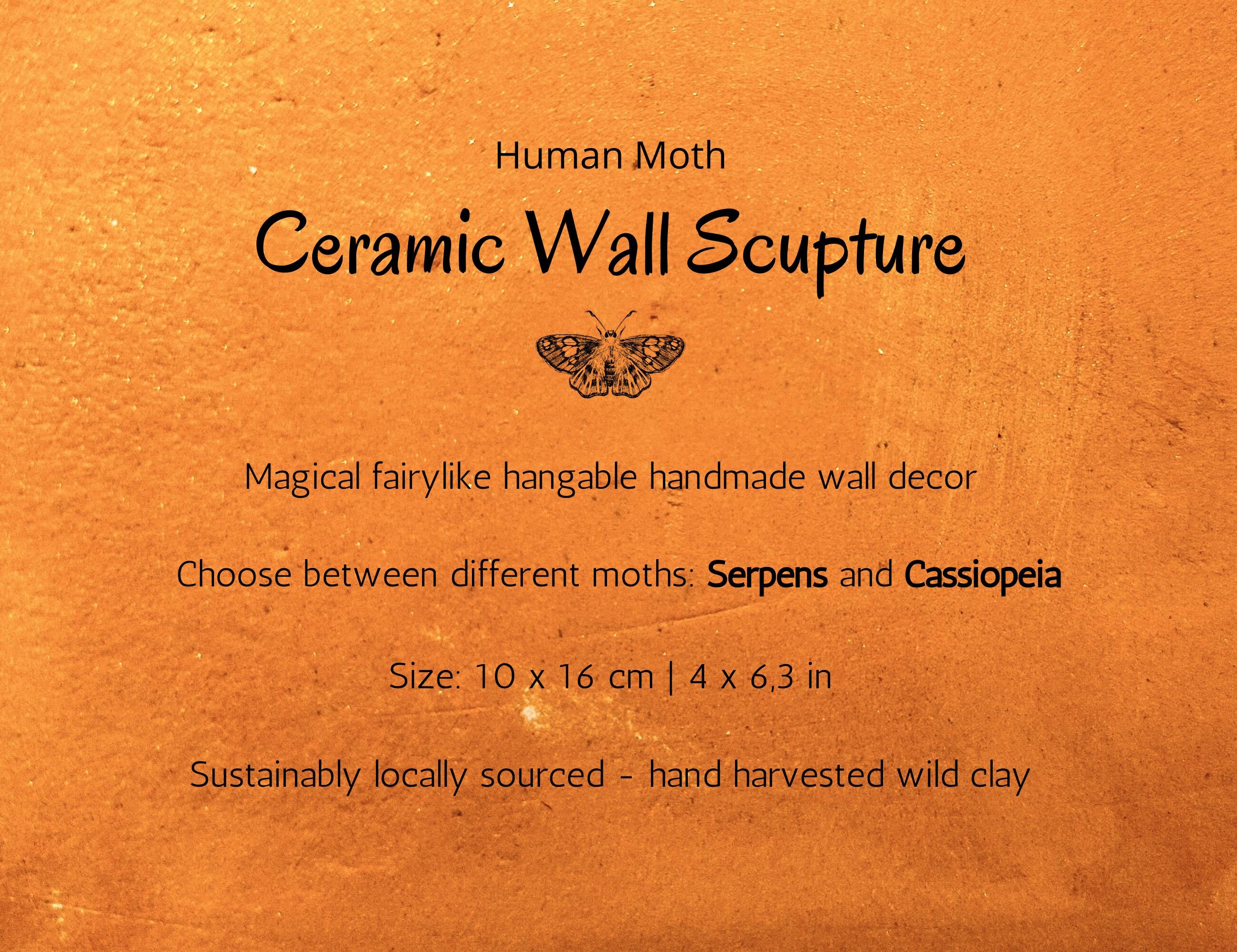 Constellation Moth Wall Sculpture Cassiopeia Ceramic Wall - Etsy