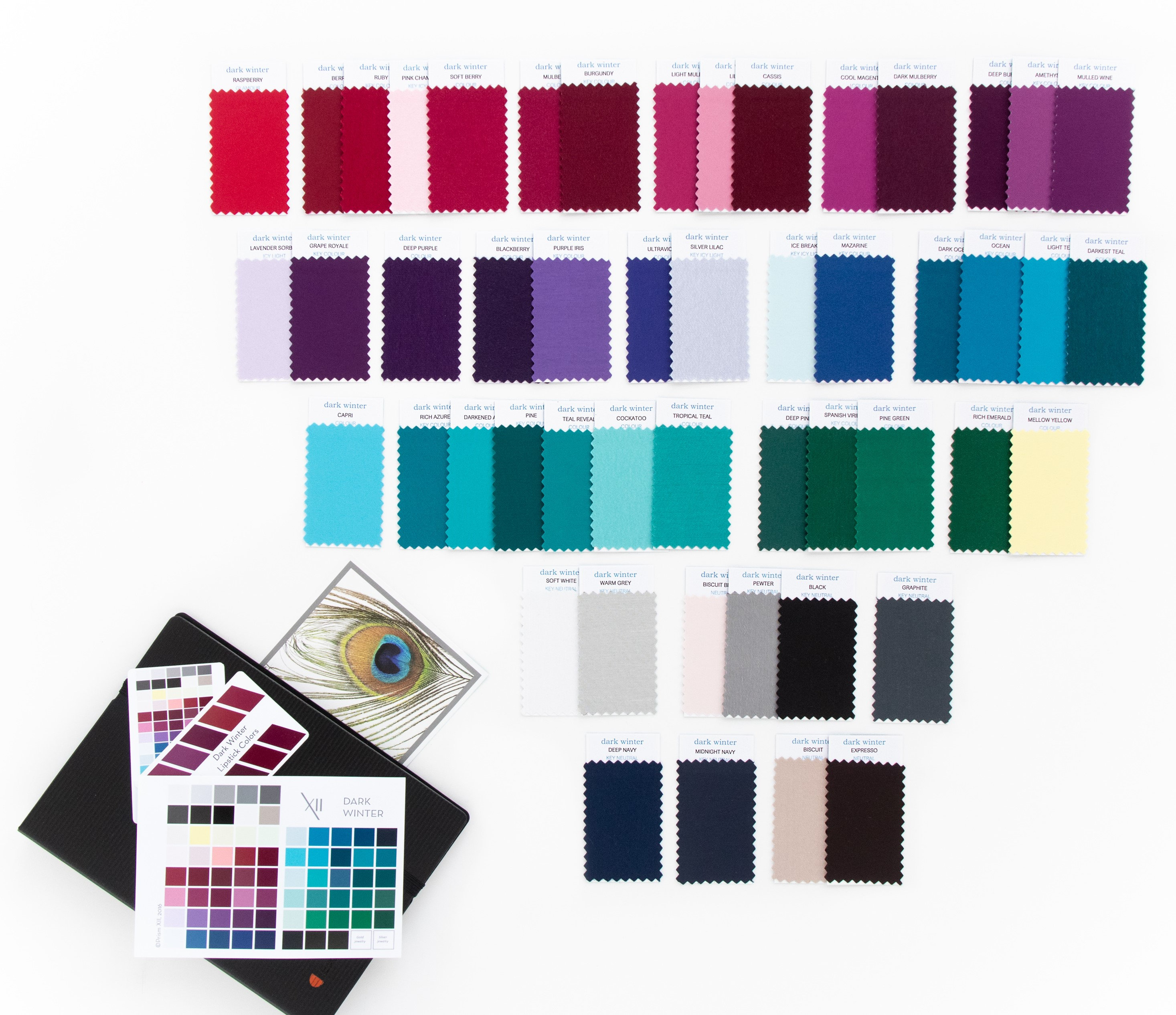 Dark Winter Color Palette