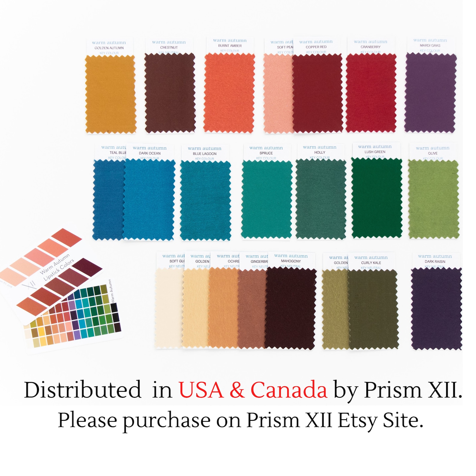 Warm Autumn Top 22 Swatches - (colours and Neutrals) in a Leather ...