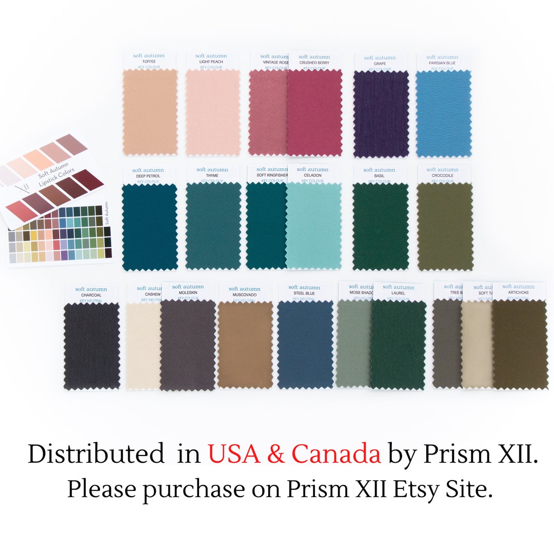 Soft Autumn Top 22 Swatches - (colours and Neutrals) in a Leather ...