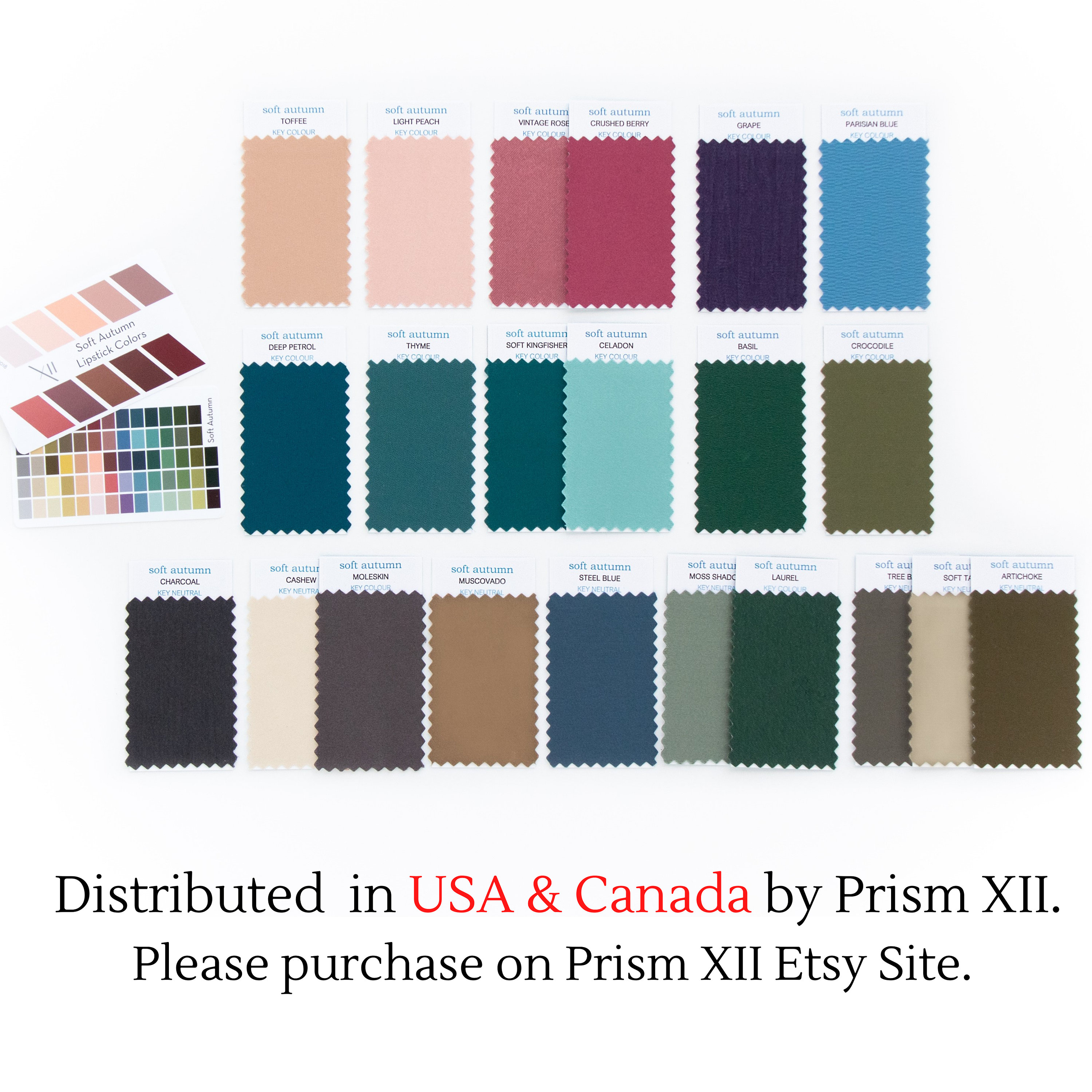 Soft Autumn Top 22 Swatches - (colours and Neutrals) in a Leather ...