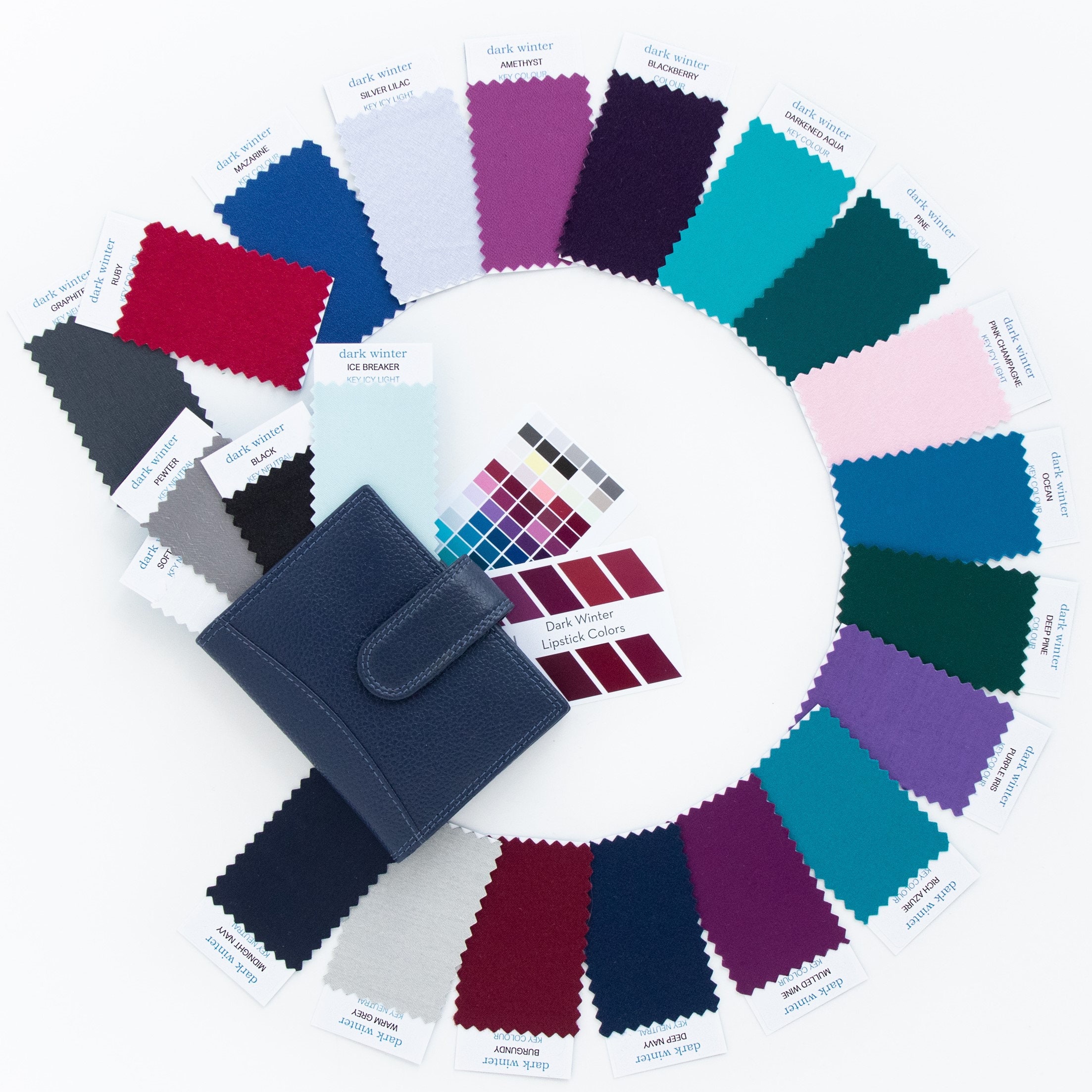 Dark Winter Top 22 Swatches - (colours and Neutrals) in a Leather ...