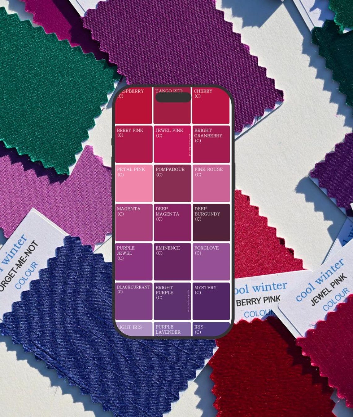 Cool Winter Mobile Phone Digital Swatch Library / Palette - Etsy