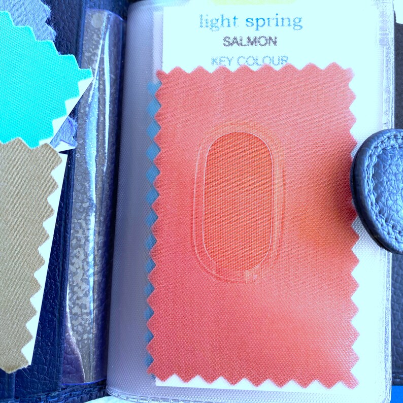 Light Spring Swatches Top 22 Collection- (colours and Neutrals) in a ...